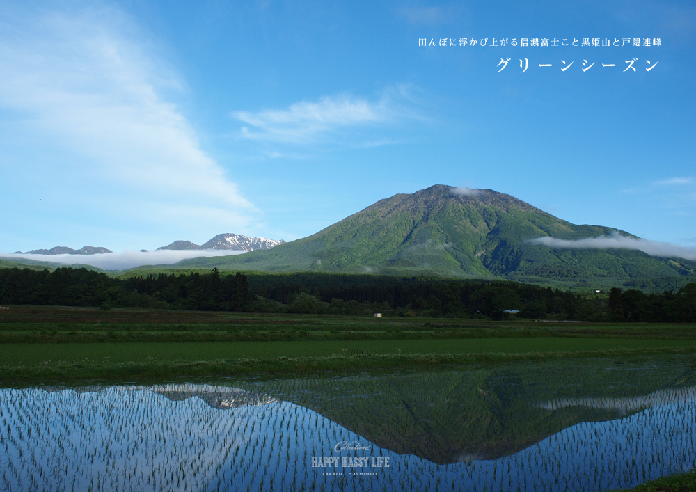 HAPPY HASSY LIFE – HASSY TIMES